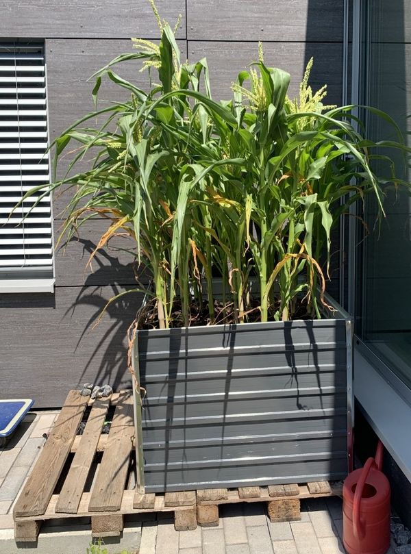 INVITE Research | INVITE GmbH